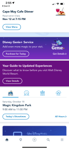 Step by Step Guide to Disney’s Genie Plus
