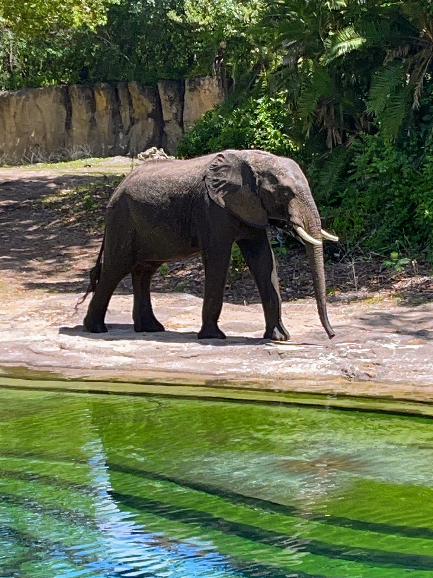 To park hop or not to park hop?