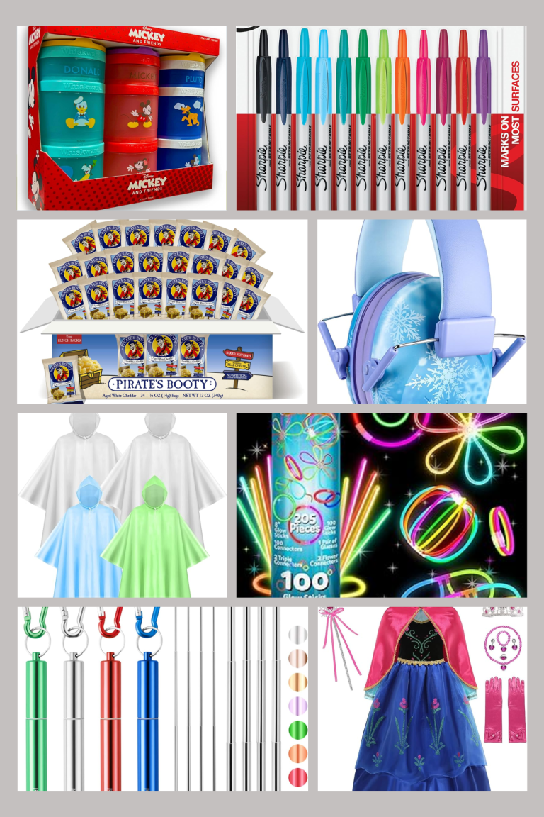 24 Must-Have Amazon Items for Your Disney World Adventure in 2024